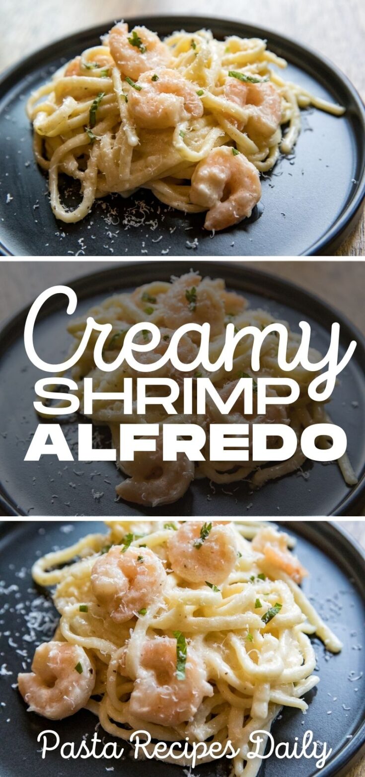 Shrimp Alfredo Recipe - Pasta Recipes Daily